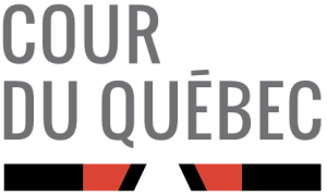 VIVAN NGUYEN AVOCATE | DPJ | Protection de la jeunesse